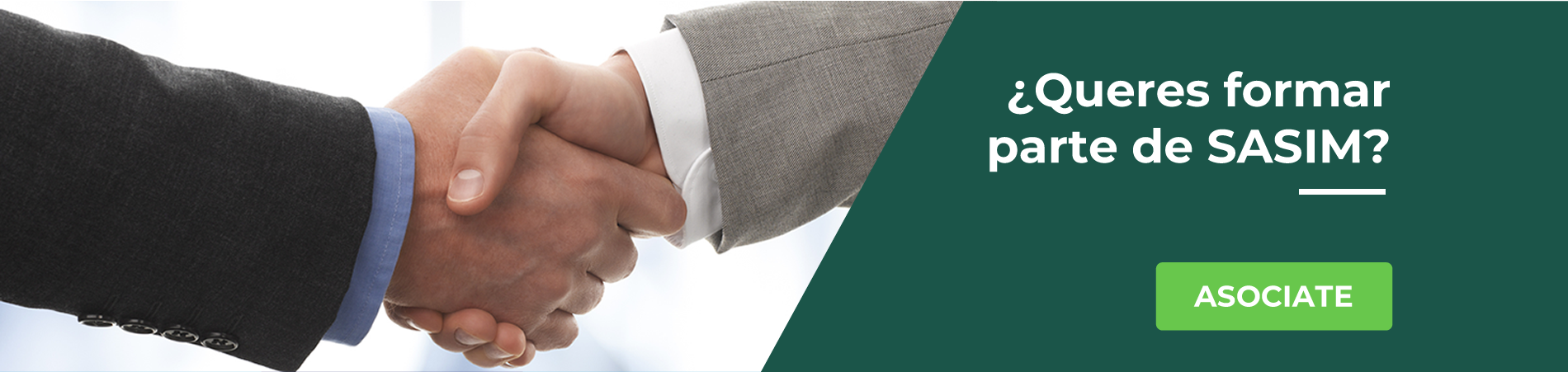 SASIM - Sociedad Argentina de Simulación - Inicio